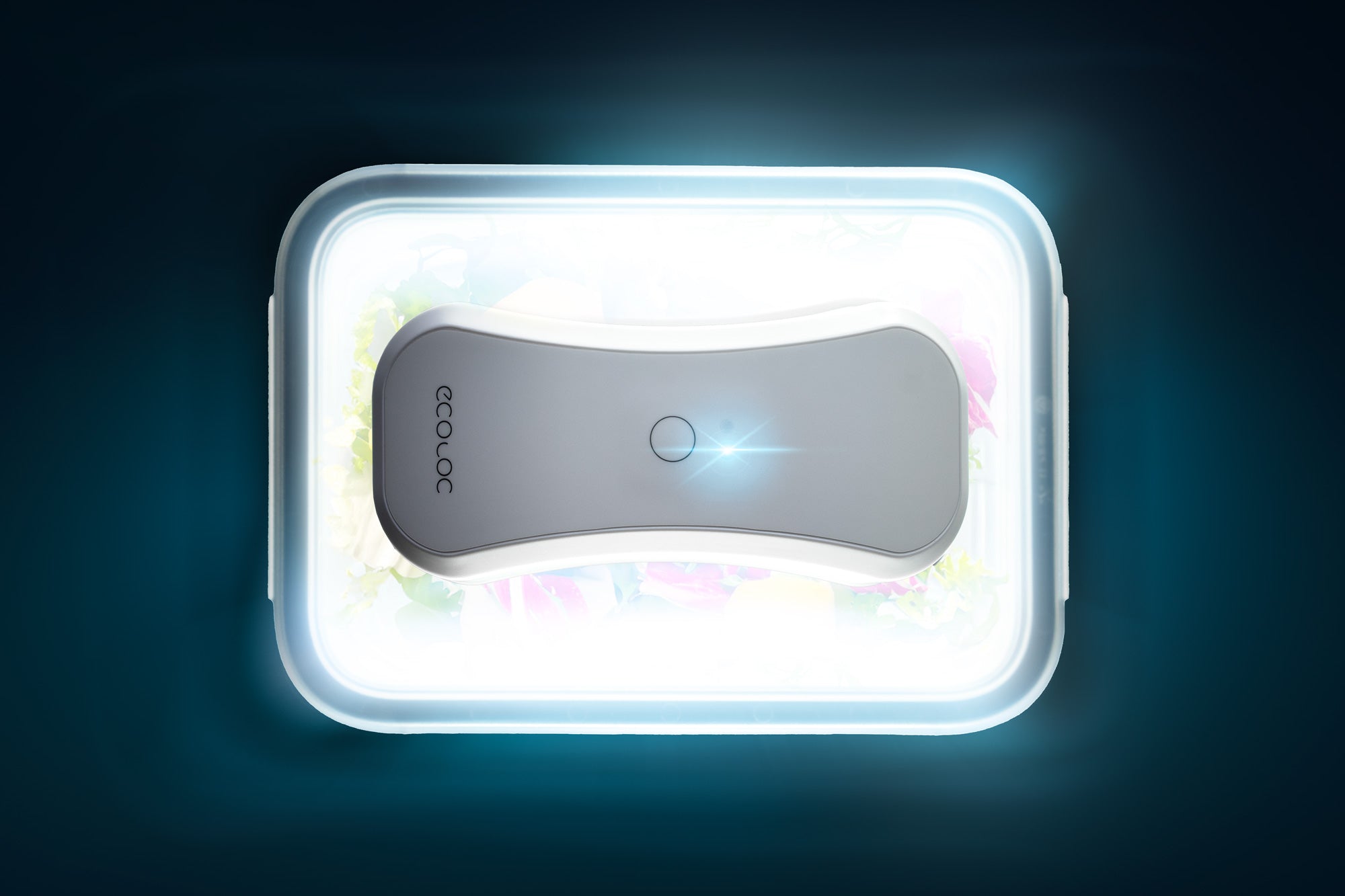 EcoLoc™: Keep food fresh longer, reduce food waste, and save money – EcoLoc