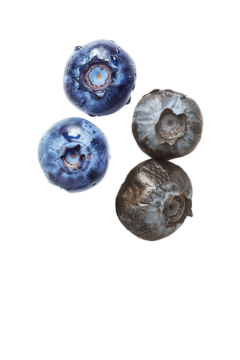 EcoLoc™: Keep food fresh longer, reduce food waste, and save money – EcoLoc